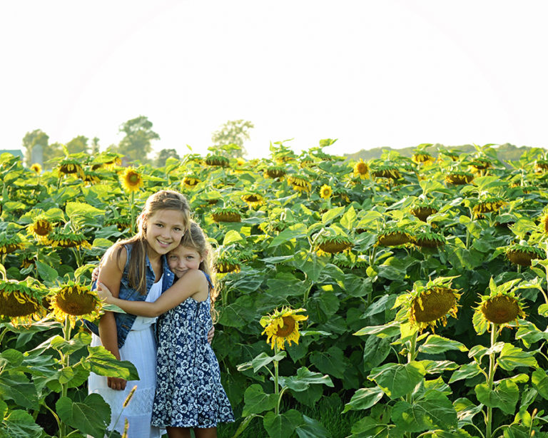 Portraits In Sunflower Field | Sheets Photography